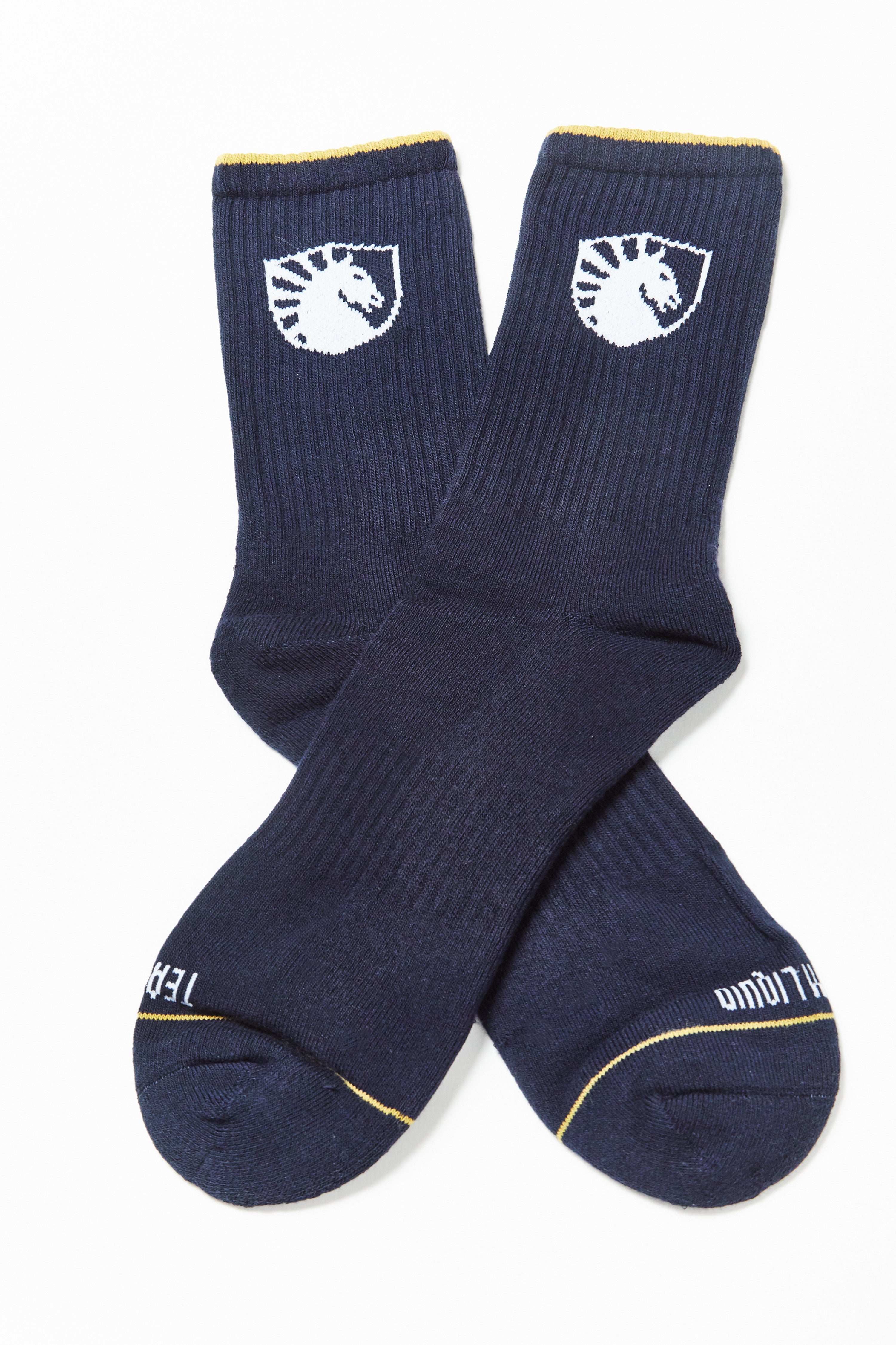 Mastery socks | Team Liquid Store